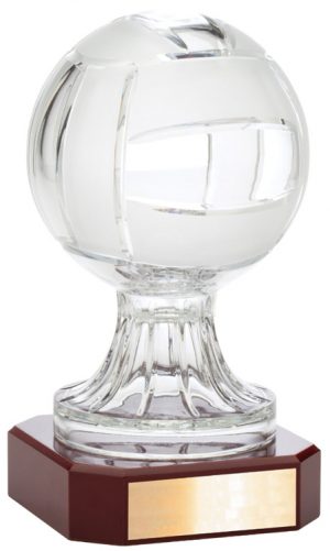 Women's Volleyball Award CRY1298 with Free Engraving