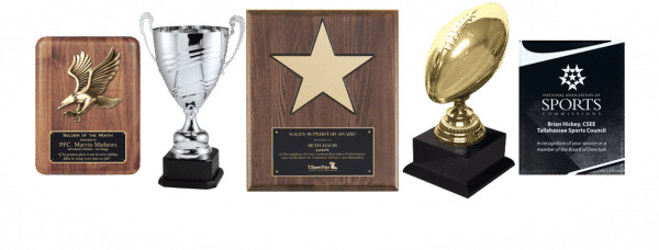 Hit Trophy - Trophies, Awards, Plaques & Statues - Free Engraving!